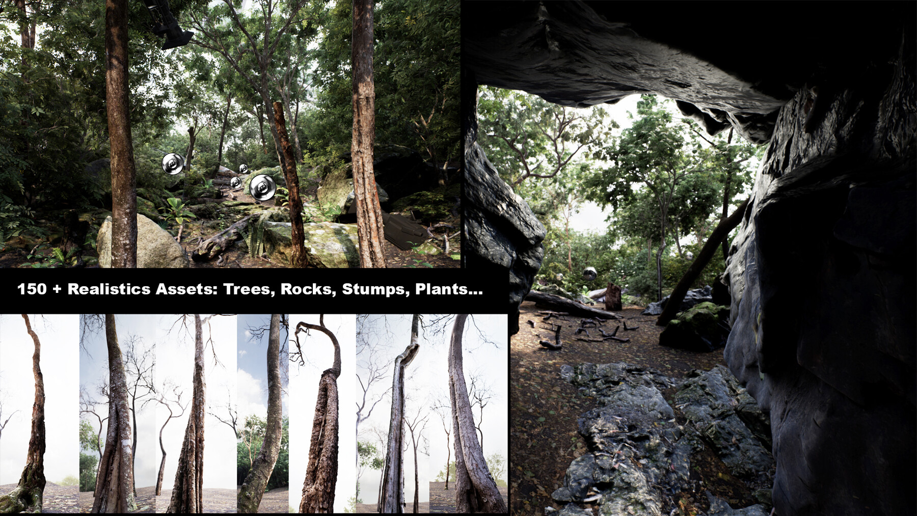 ArtStation - Realistic Trees and Forest Plants Pack | Resources