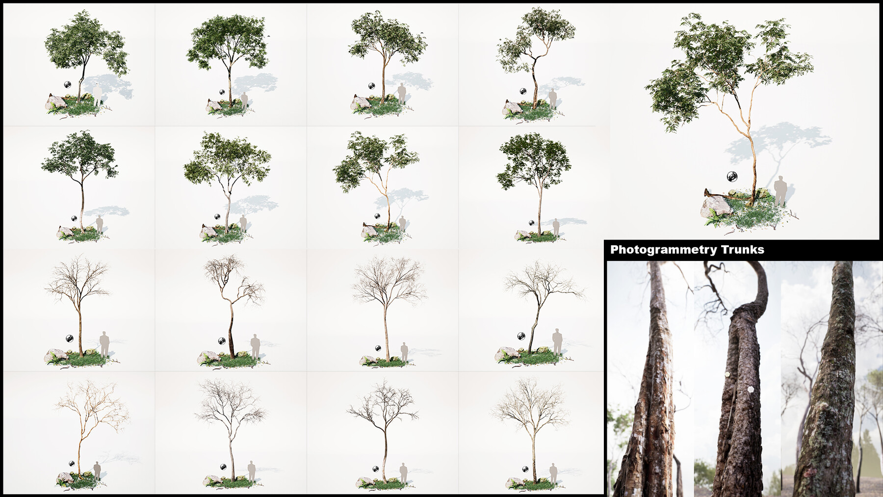 ArtStation - Realistic Trees and Forest Plants Pack | Resources