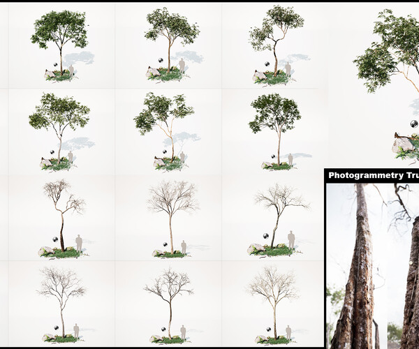 ArtStation - Realistic Trees and Forest Plants Pack | Resources