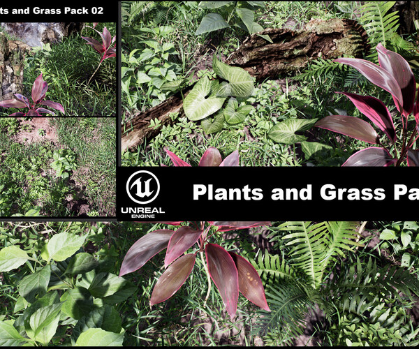 ArtStation - Realistic Plants and Grass Pack 02 | Resources