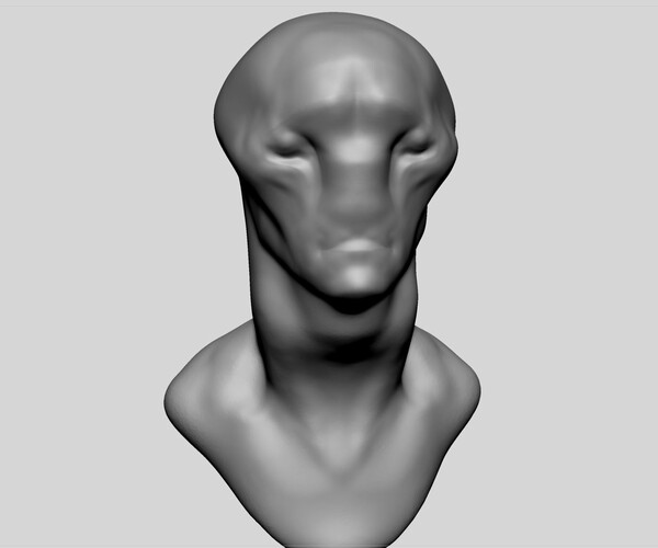 ArtStation - Creature Head Base | Resources