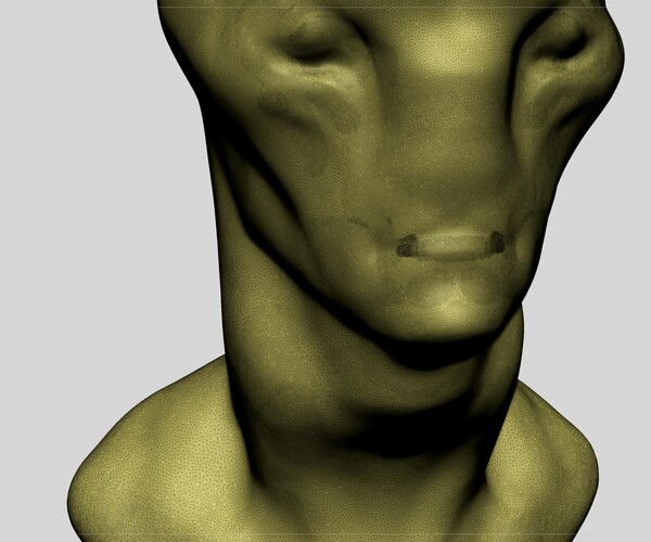 ArtStation - Creature Head Base | Resources