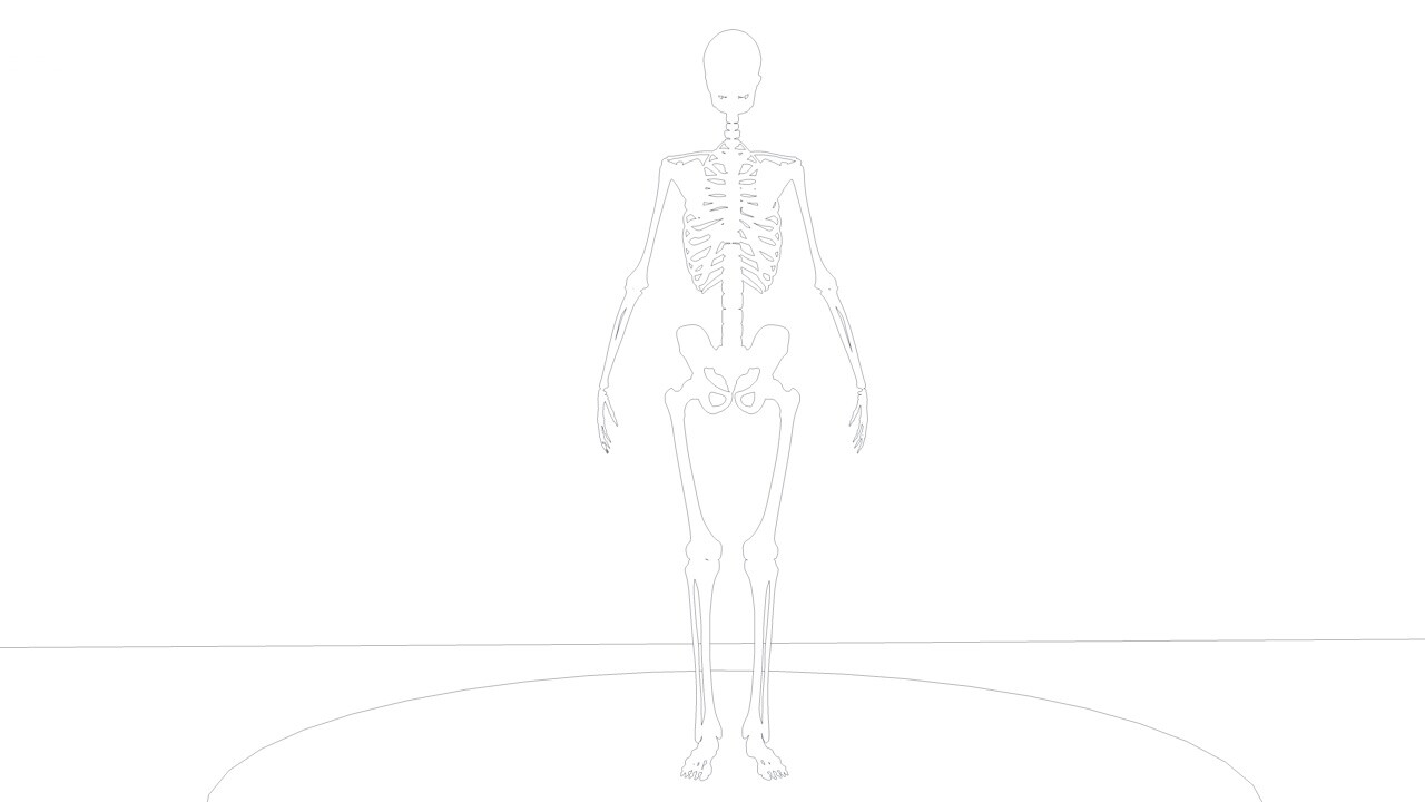 ArtStation - Female Skeleton | Resources