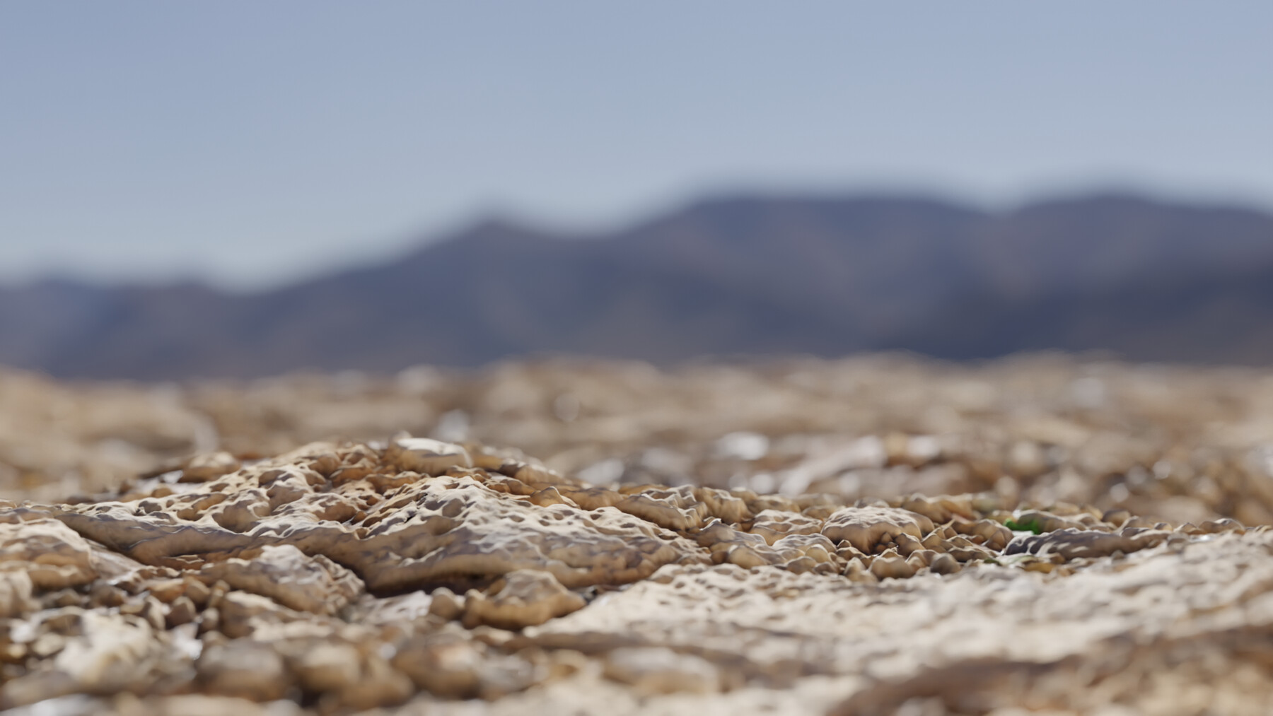 ArtStation - MUD Ground 3D model | Resources