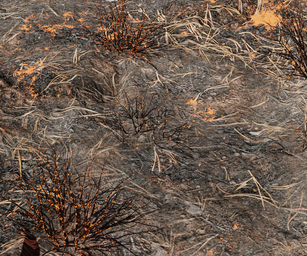 ArtStation - Burned Ground 3D model | Resources
