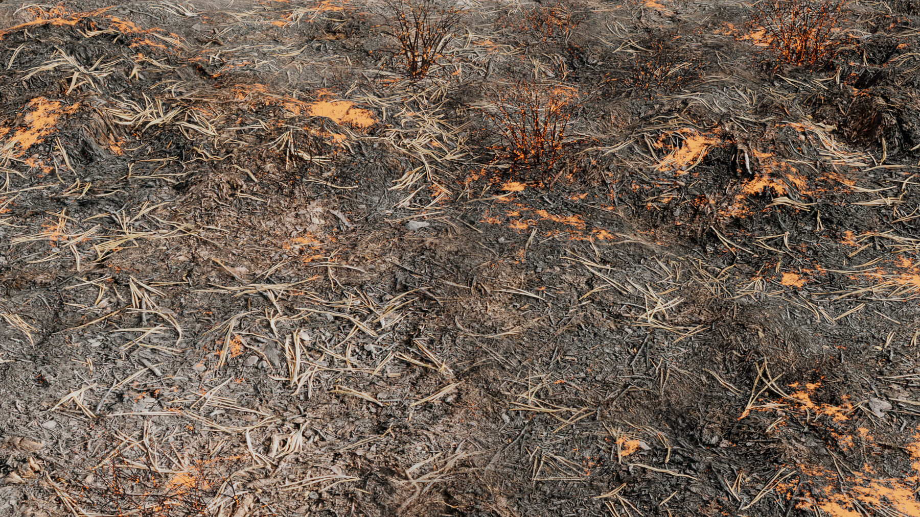 ArtStation - Burned Ground 3D model | Resources