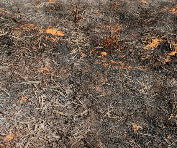 ArtStation - Burned Ground 3D model | Resources