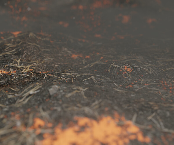 ArtStation - Burned Ground 3D model | Resources