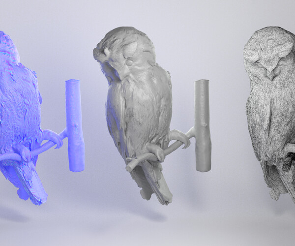 ArtStation - Owl 05 | Game Assets