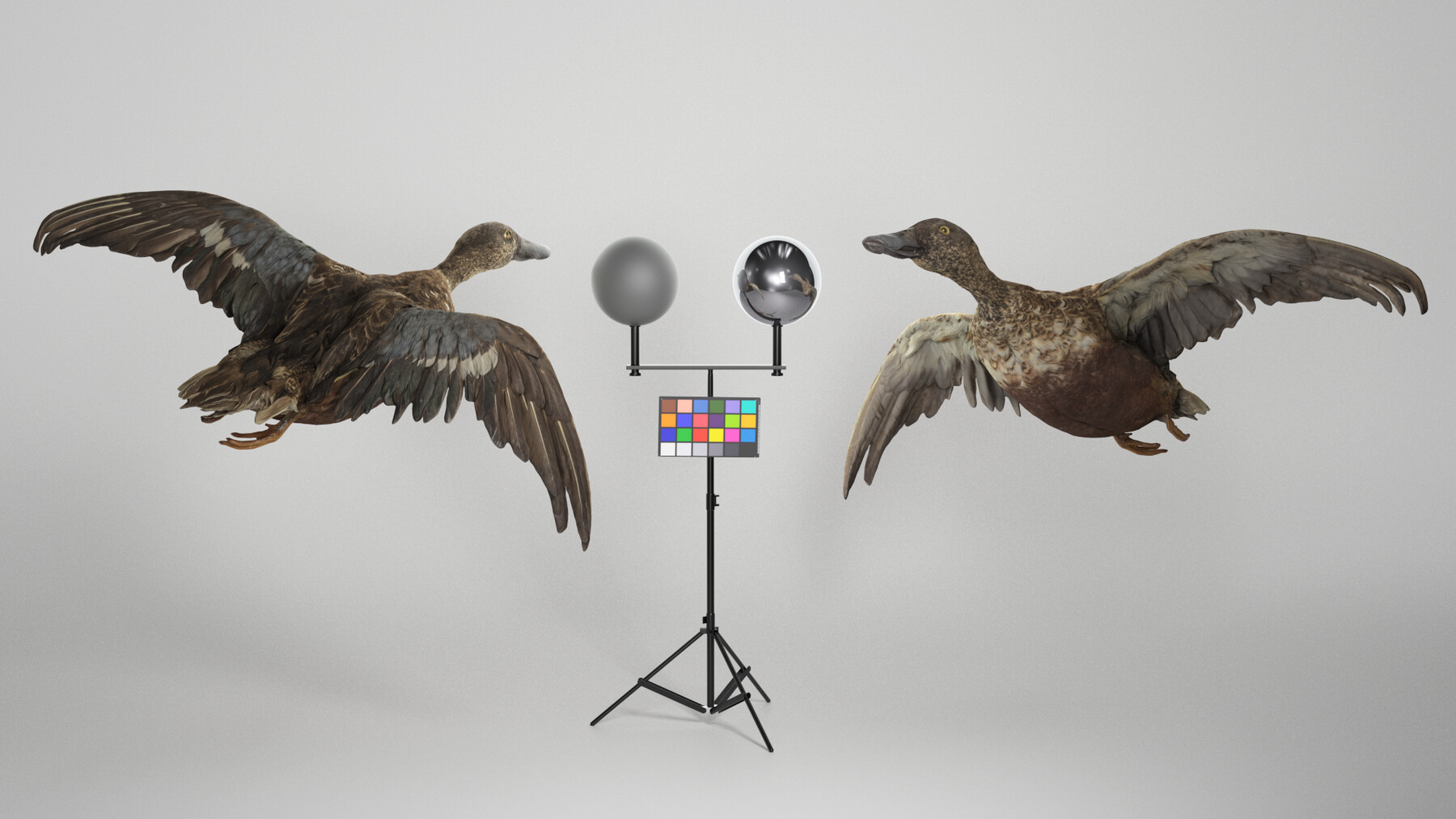 ArtStation - Flying duck 06 | Game Assets