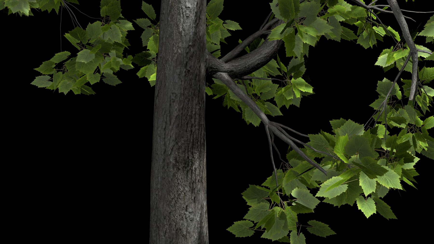 ArtStation - Fairy tree | Resources