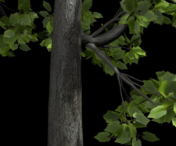 ArtStation - Fairy tree | Resources