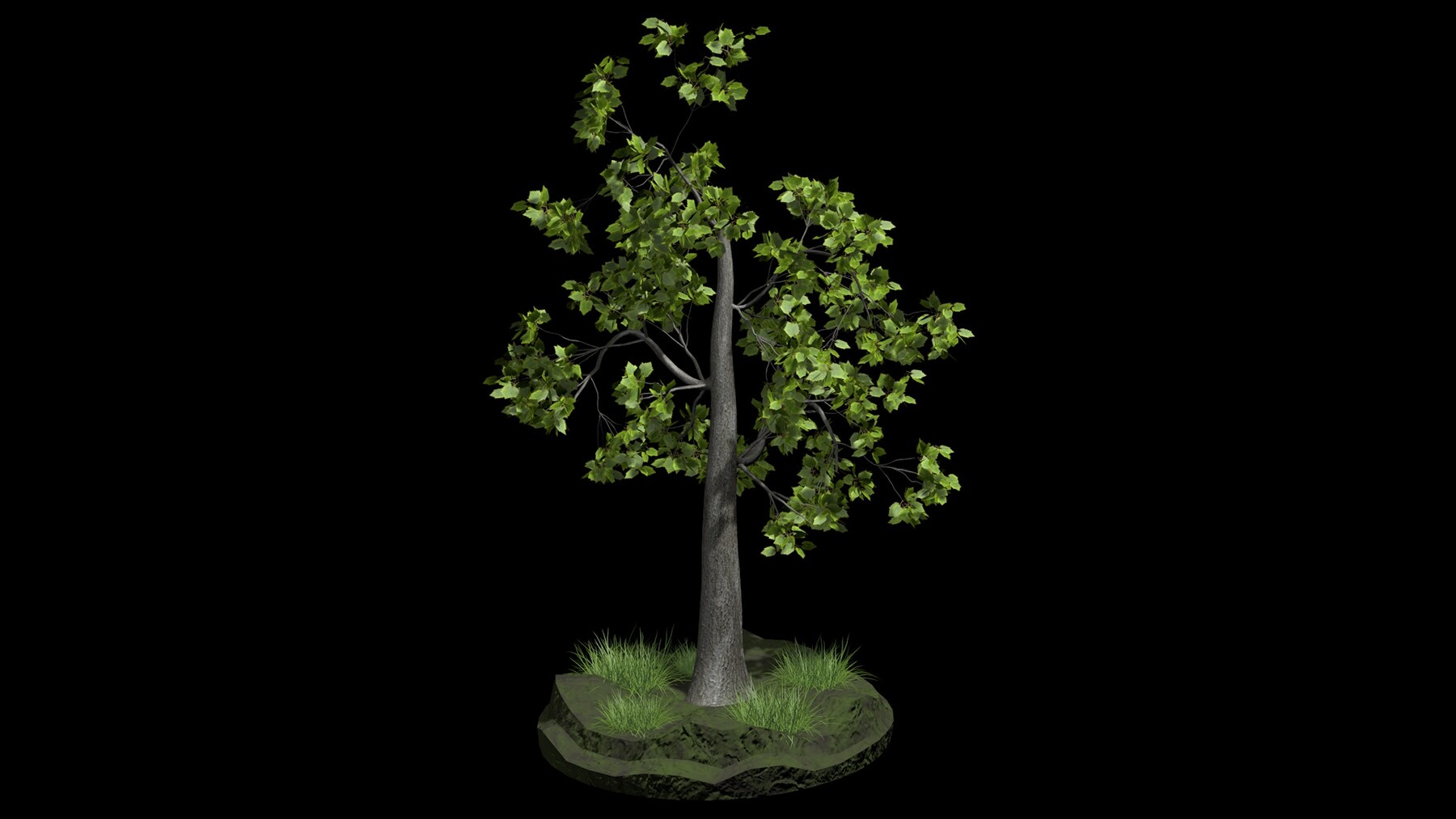 ArtStation - Fairy tree | Resources