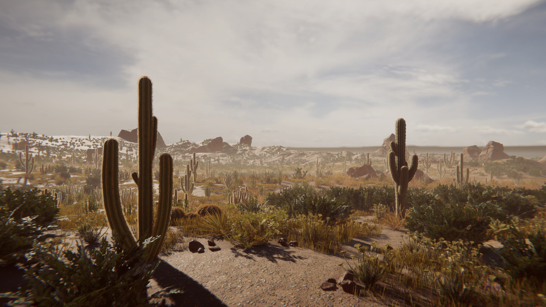 ArtStation - Mexican Desert (Unity Package) | Game Assets