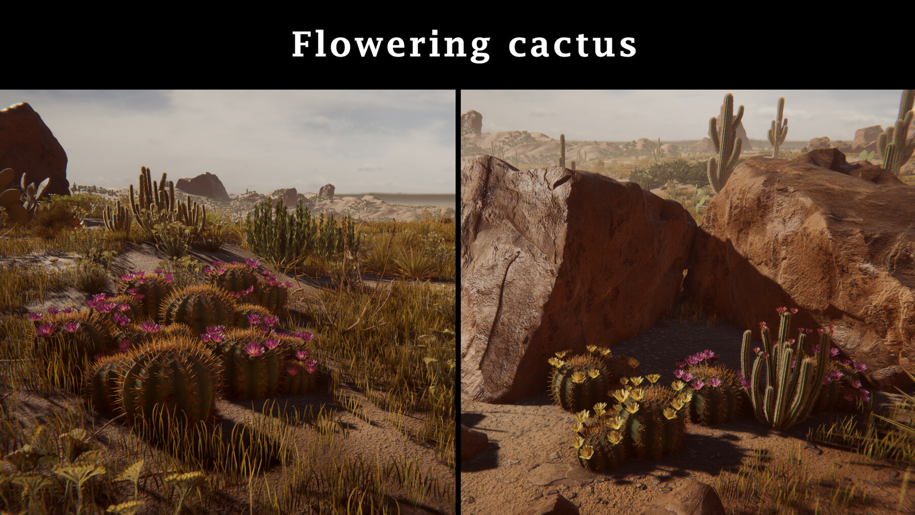 ArtStation - Mexican Desert (Unity Package) | Game Assets