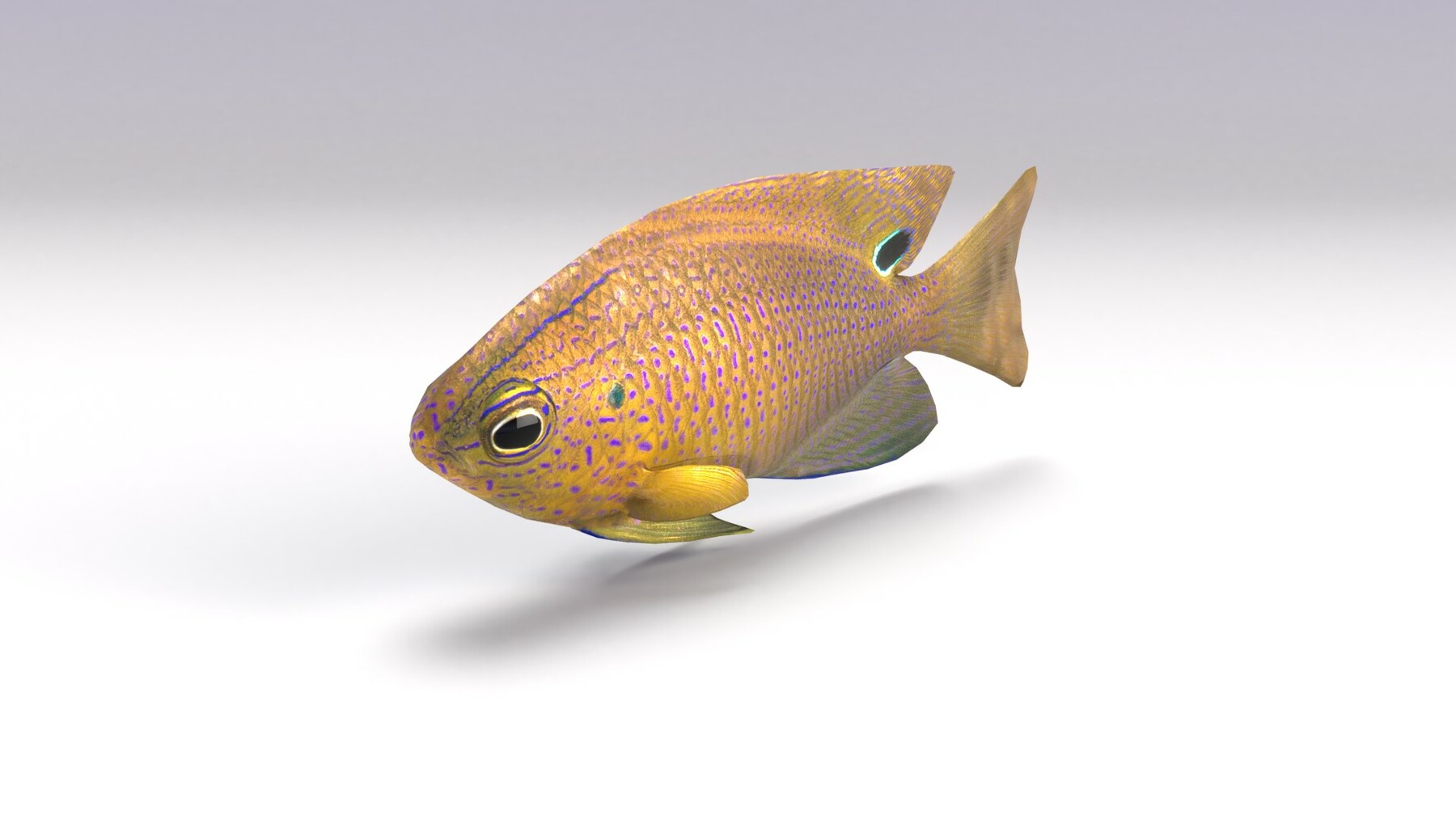 ArtStation - Damselfish | Resources