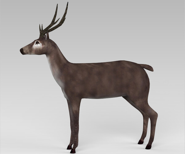 ArtStation - Low Poly Buck 3D Model | Resources