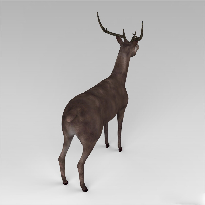 ArtStation - Low Poly Buck 3D Model | Resources