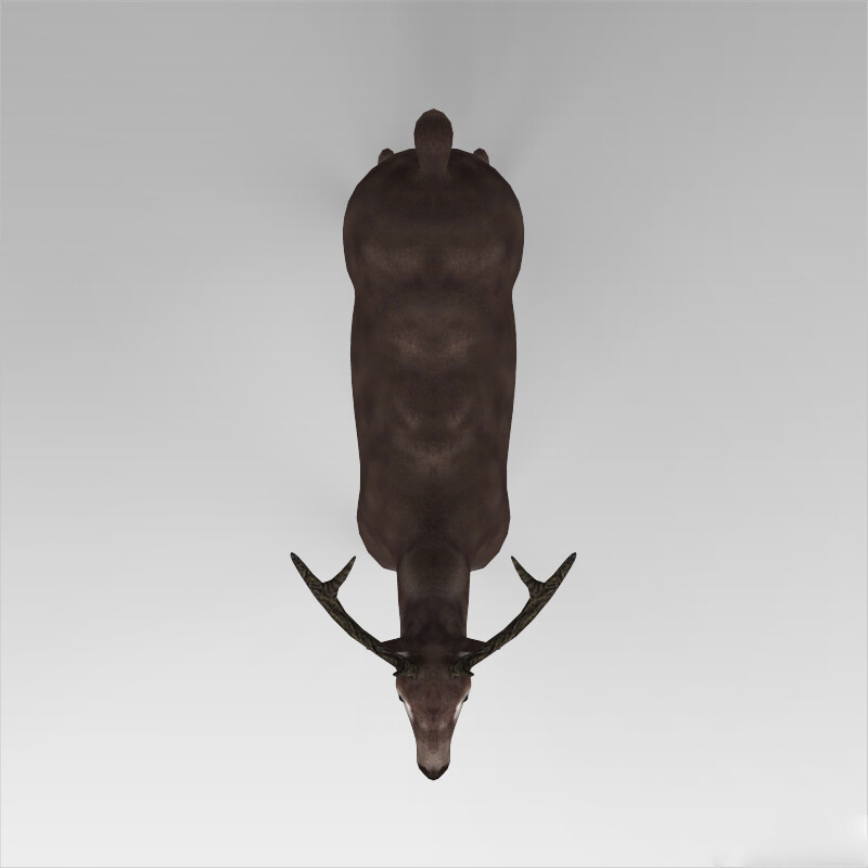 ArtStation - Low Poly Buck 3D Model | Resources