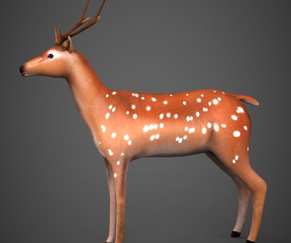 ArtStation - Low poly Deer 3D Model | Resources