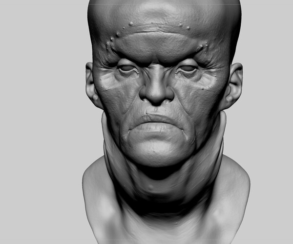 ArtStation - Creature Head 06 | Resources