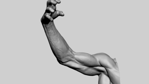 ArtStation - Human Arm | Resources