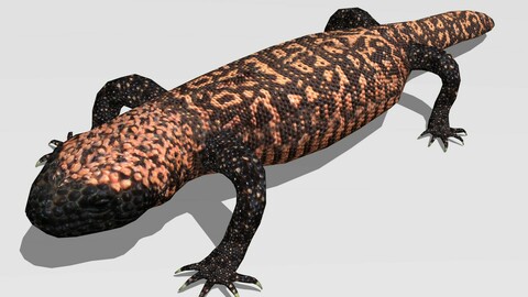 ArtStation - Gila monster | Resources