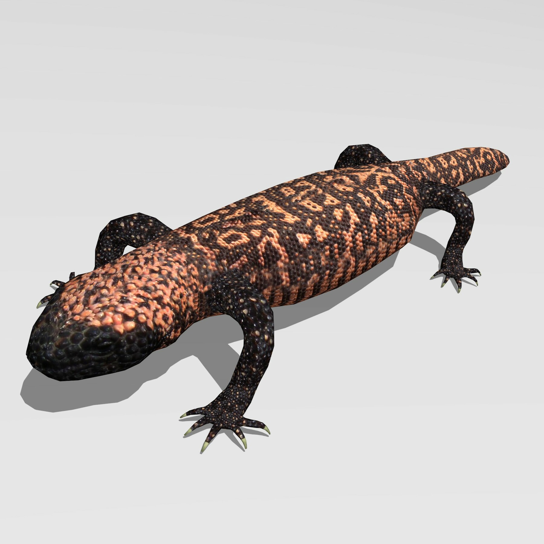 ArtStation - Gila monster | Resources