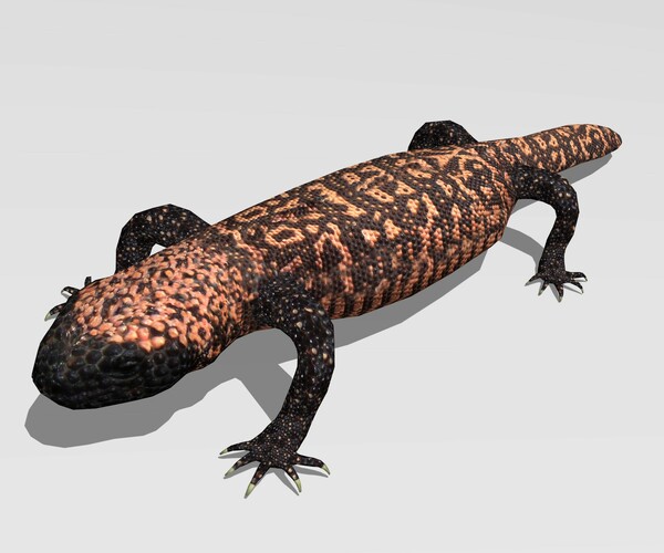 ArtStation - Gila monster | Resources