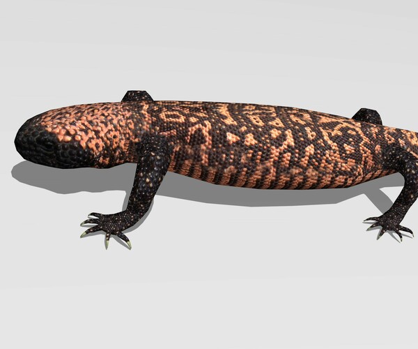 ArtStation - Gila monster | Resources