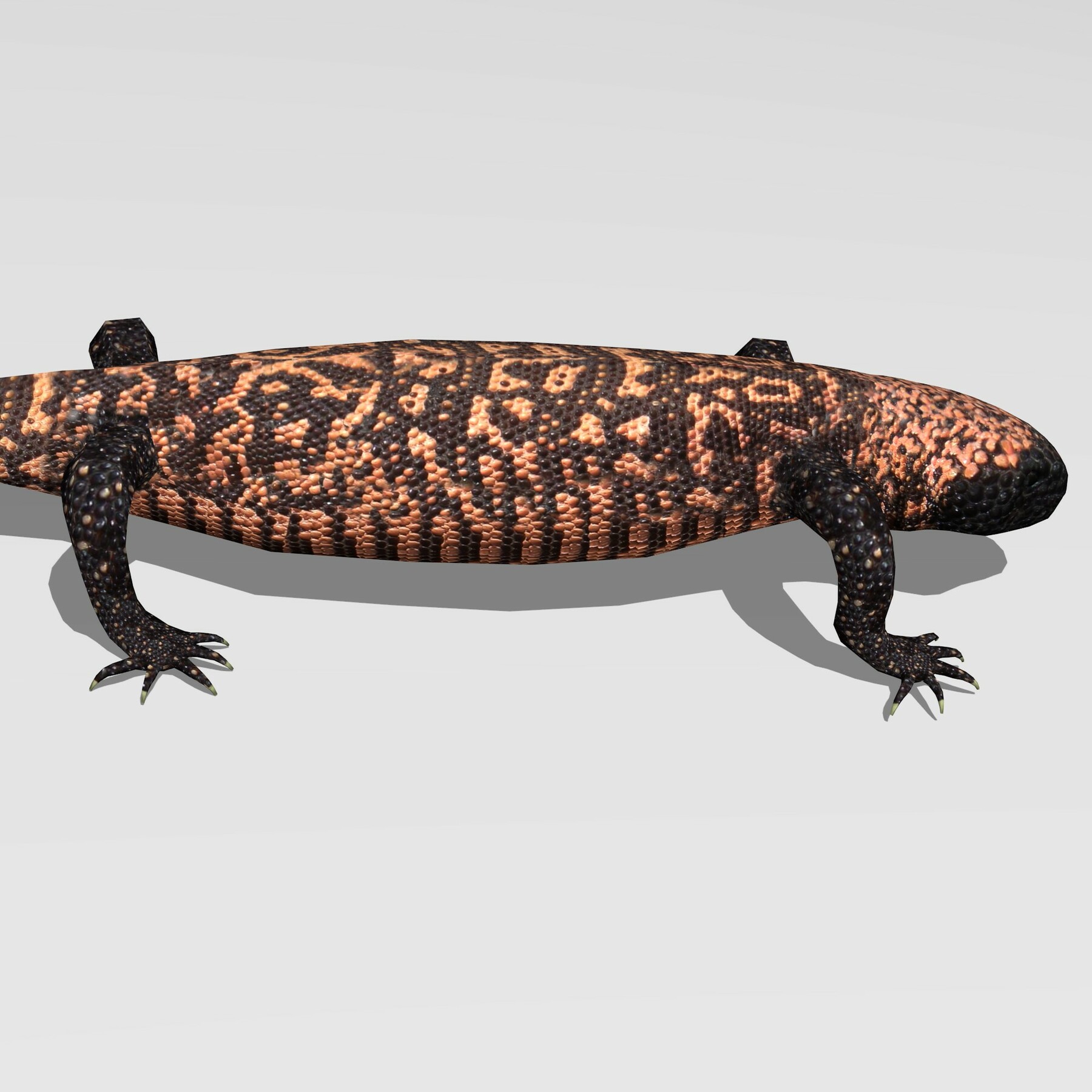 ArtStation - Gila monster | Resources