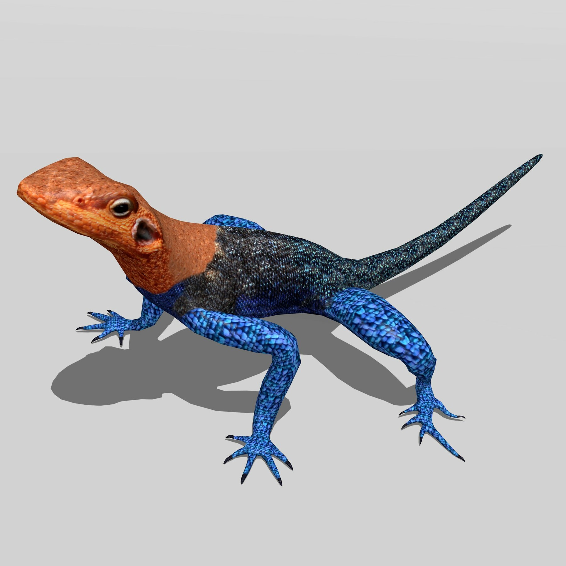 ArtStation - Agama Lizard | Resources