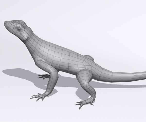 ArtStation - Agama Lizard | Resources