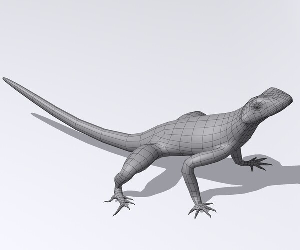 ArtStation - Agama Lizard | Resources