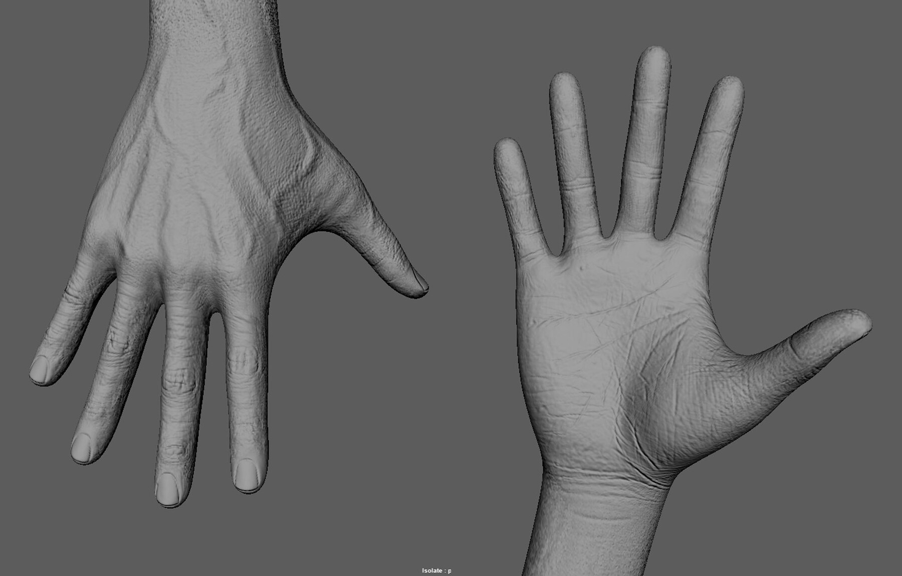 Hand Reference For 3d Modeling