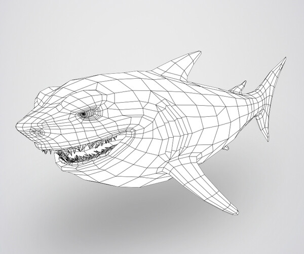 ArtStation - Cartoon Shark | Resources