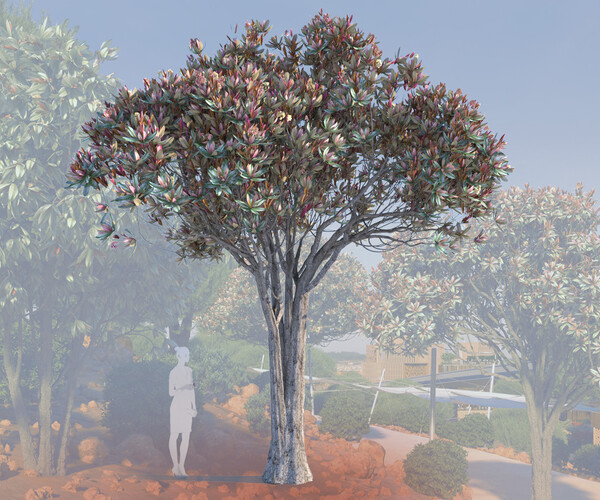 ArtStation - 3d models of mid bronze loquat tree eriobotrya deflexa ...