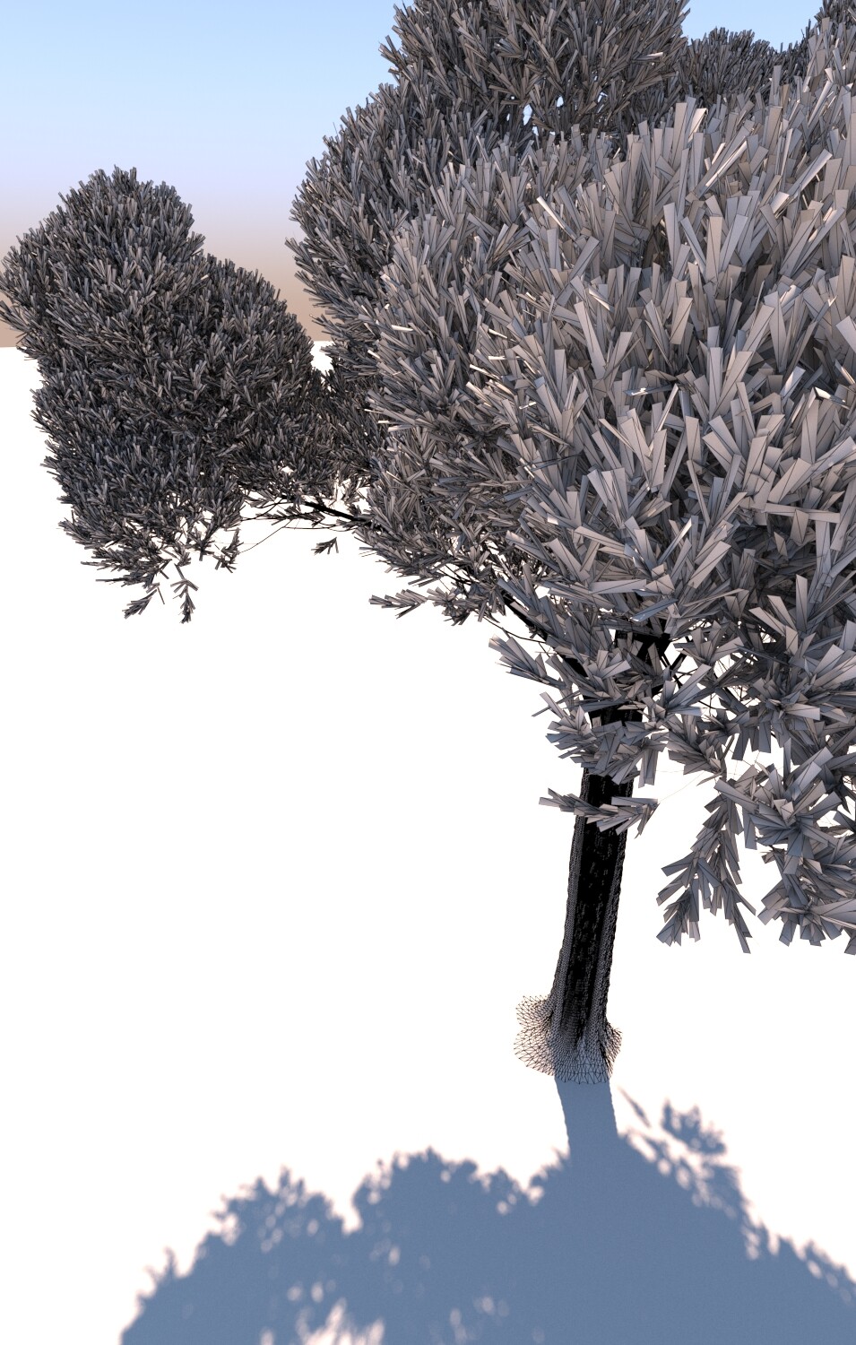 ArtStation - 3D tree pinus pinea stone pine adult B | Resources