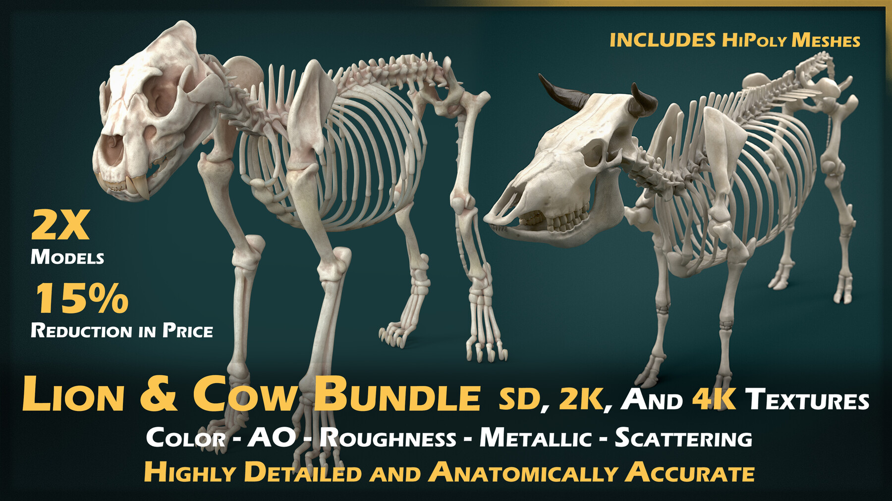 Cow Skeleton Labeled
