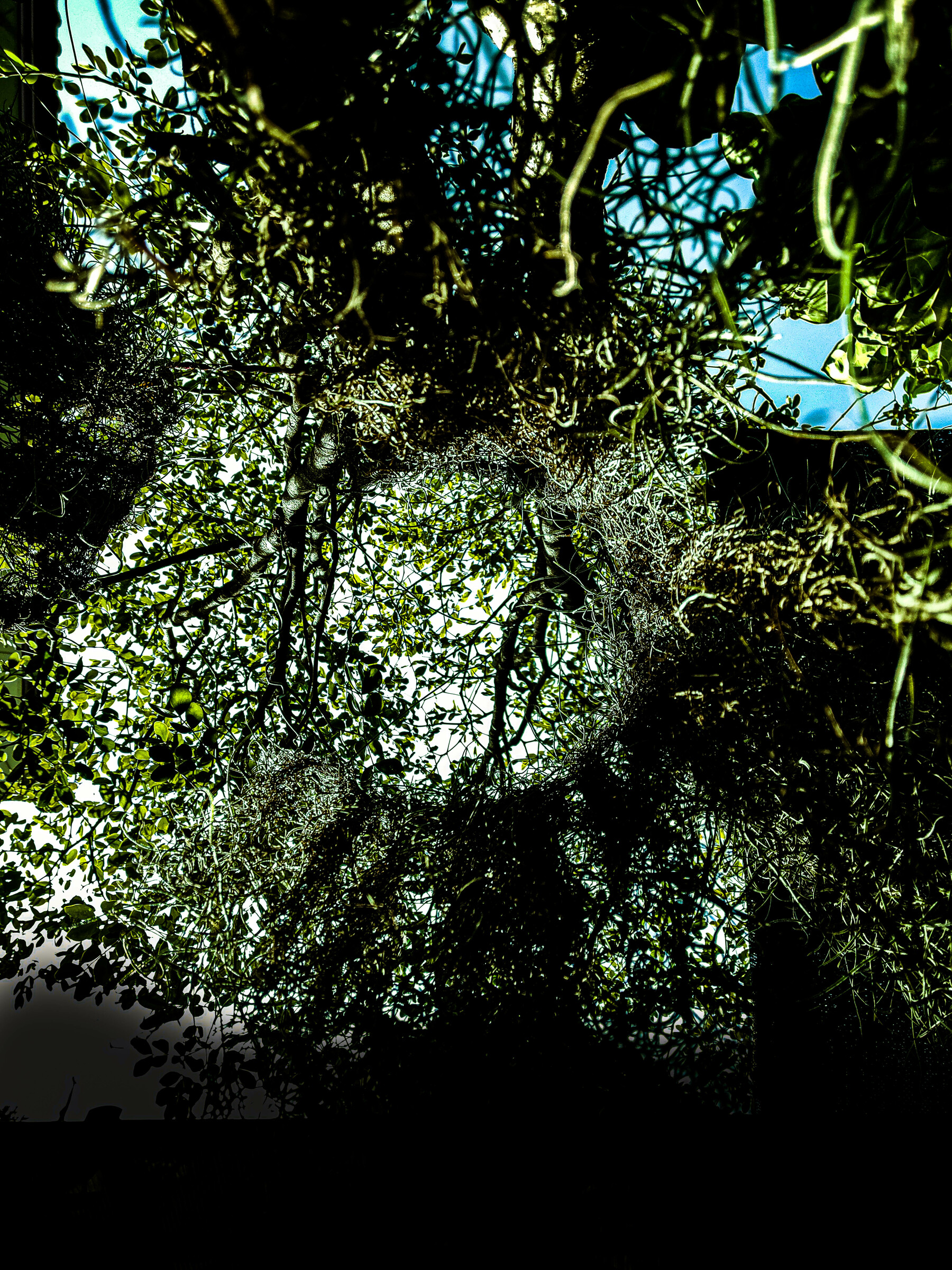 ArtStation - Enigma | Resources