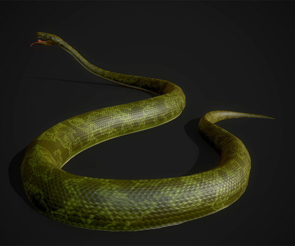 ArtStation - Snakes (Boa) - Game Ready | Game Assets