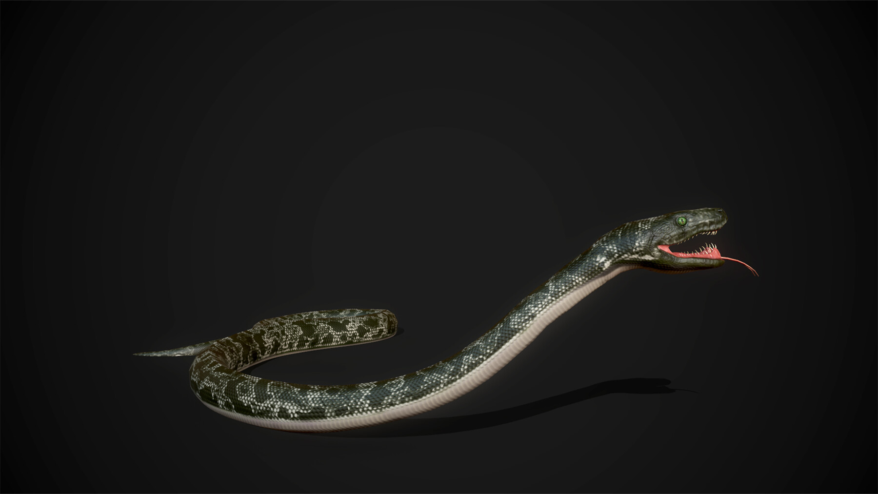 ArtStation - Snakes (Boa) - Game Ready | Game Assets