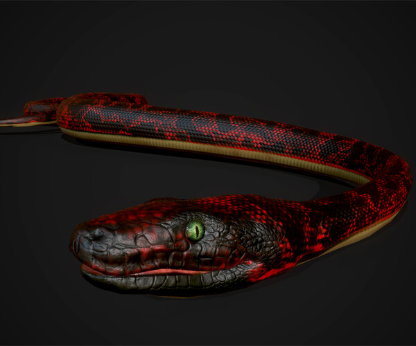 ArtStation - Snakes (Boa) - Game Ready | Game Assets