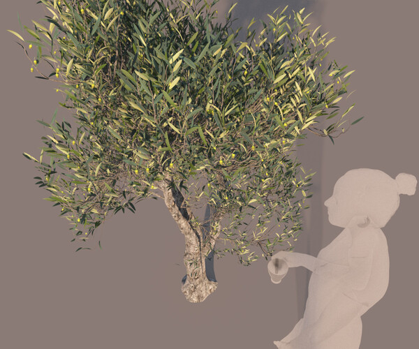 ArtStation - 3D olive tree olea europaea decorative a | Resources