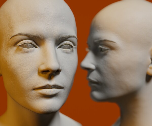 ArtStation - Highly detailed female head base mesh and écorché | Resources