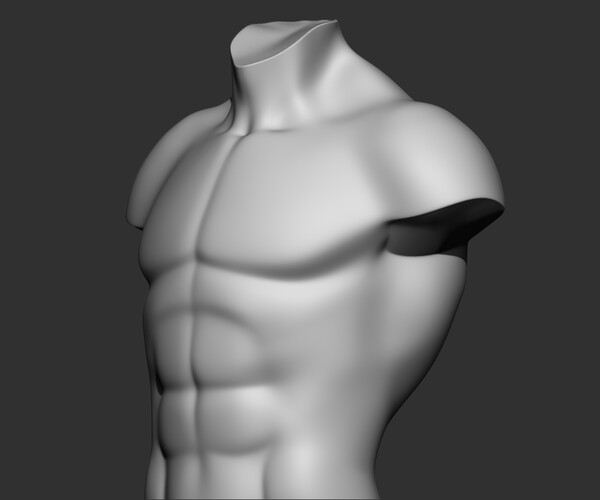 ArtStation - torso 3d print model | Resources