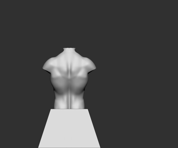 ArtStation - torso 3d print model | Resources