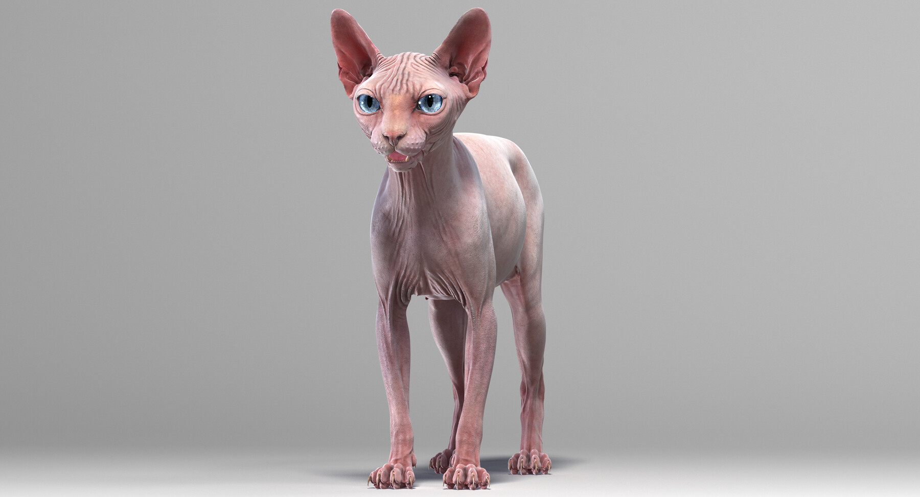 ArtStation - Sphynx Cat Pink | Resources