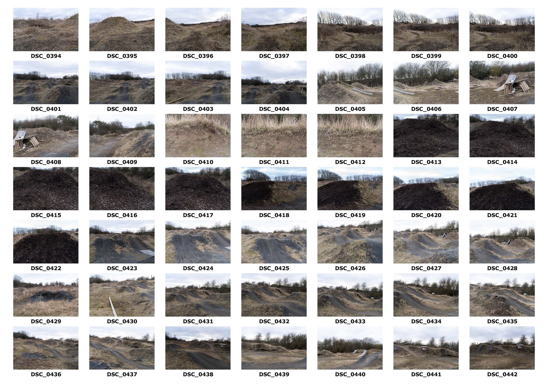 ArtStation - PARK GRASS & FIELDS / Photo Reference / 500+ images ...