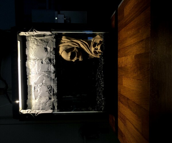 ArtStation - 3D Aquarium Skull decoration 3D print model | Resources